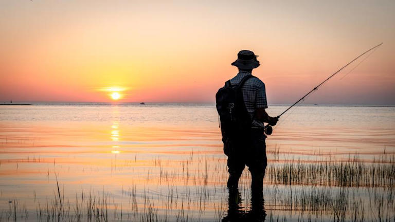 Wadeable white sandy flats, crystal clear water, cruising striped bass ...