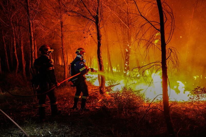 Climate tipping point will be reached by the end of this decade ...