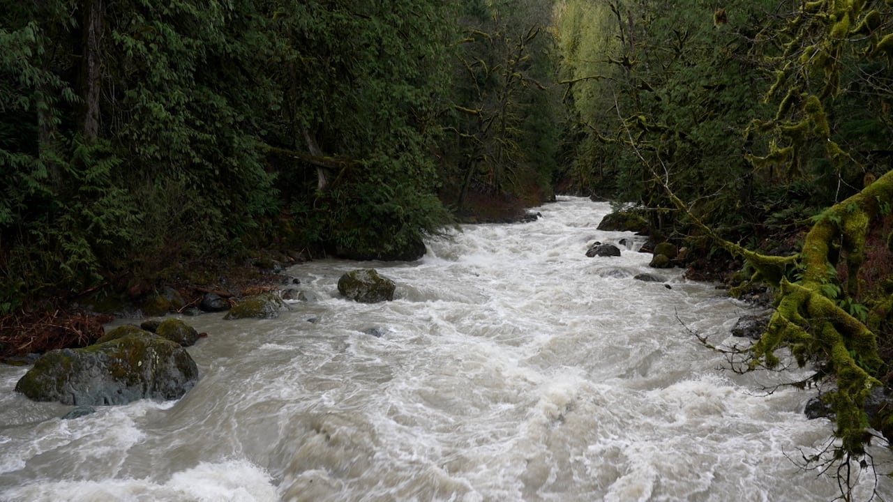 BC flood watches downgraded, evacuation alerts rescinded
