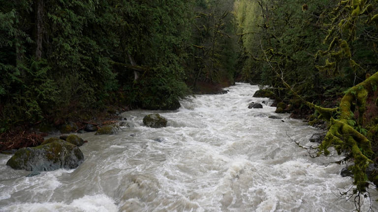 BC flood watches downgraded, evacuation alerts rescinded