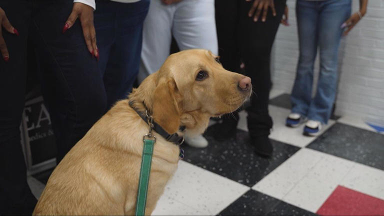 Tri-state family turns tragedy into hope with dog donation to local ...