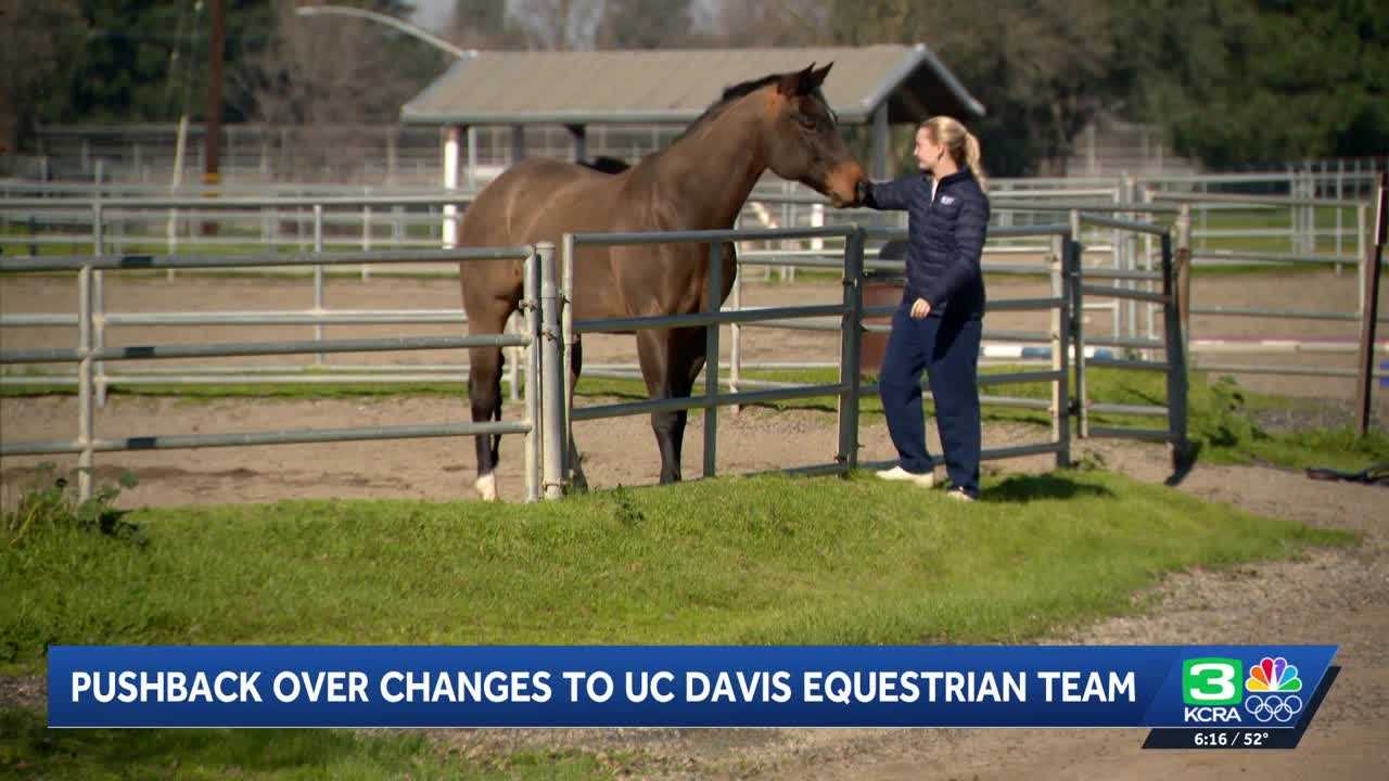 'Blindsided': UC Davis equestrian team loses Division I varsity status ...