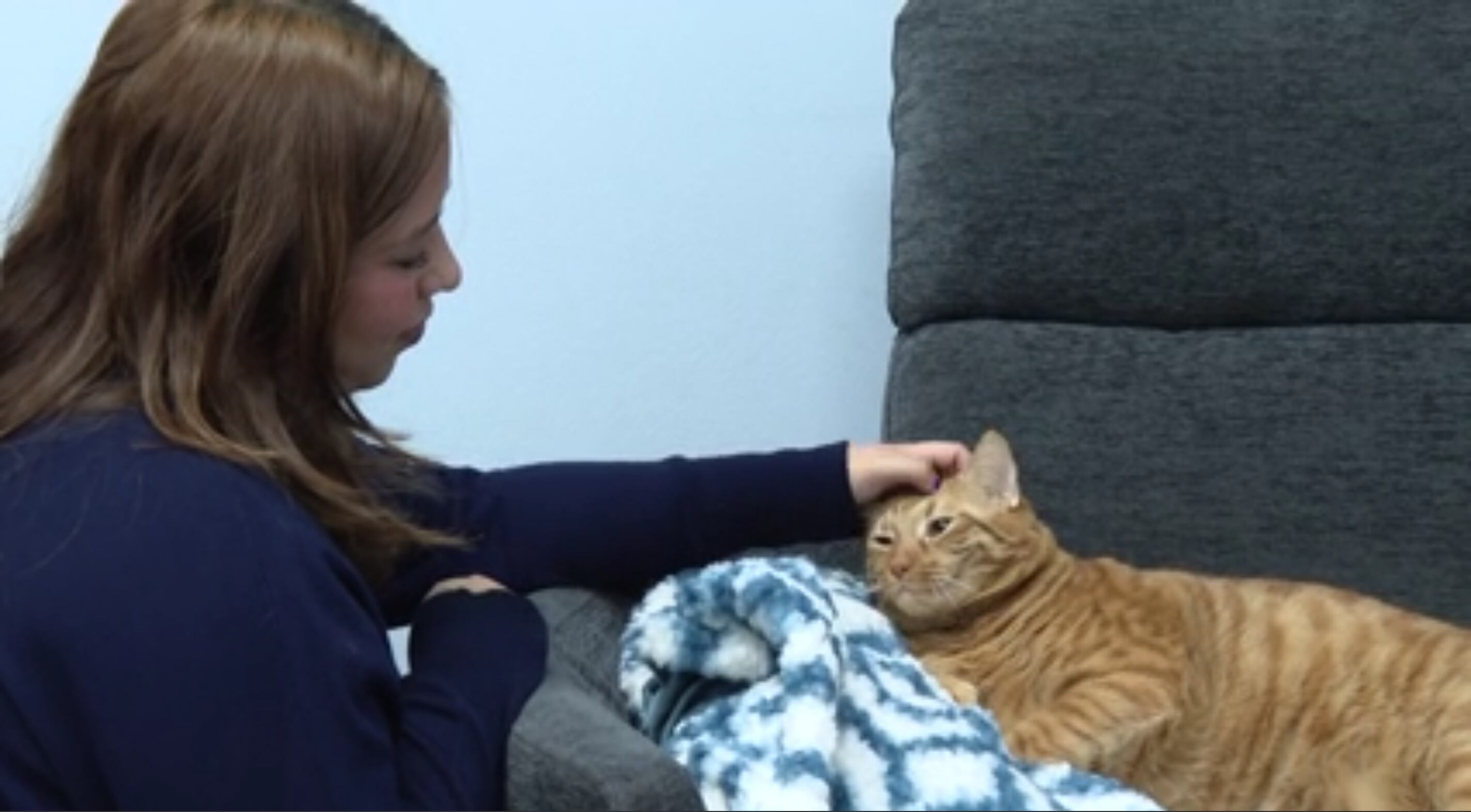 Therapy cats provide comfort at Laredo nonprofit Pillar