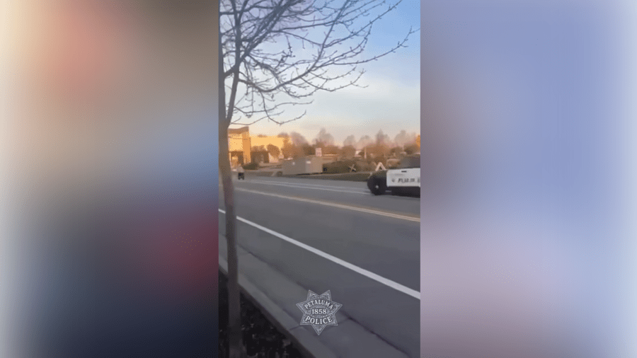 Juvenile crashes e-motorcycle in Petaluma after running stop signs: PD