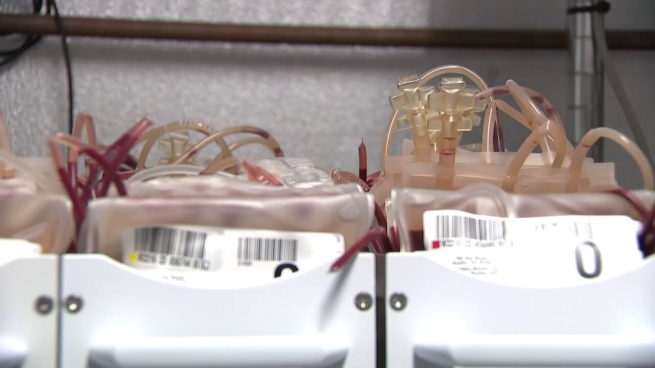 $1.4M awarded to Tampa Fire Rescue to give crash victims blood ...