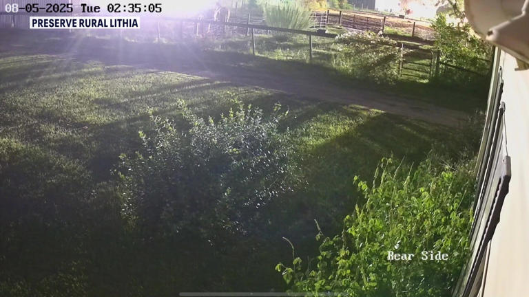 Lithia neighbors push back against proposed sports complex in ...