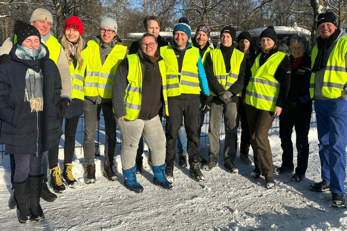 Alte Weihnachtsbäume zu Geld gemacht