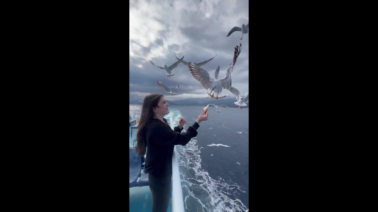 Teen briefly catches a seagull by hand in Thasos, Greece