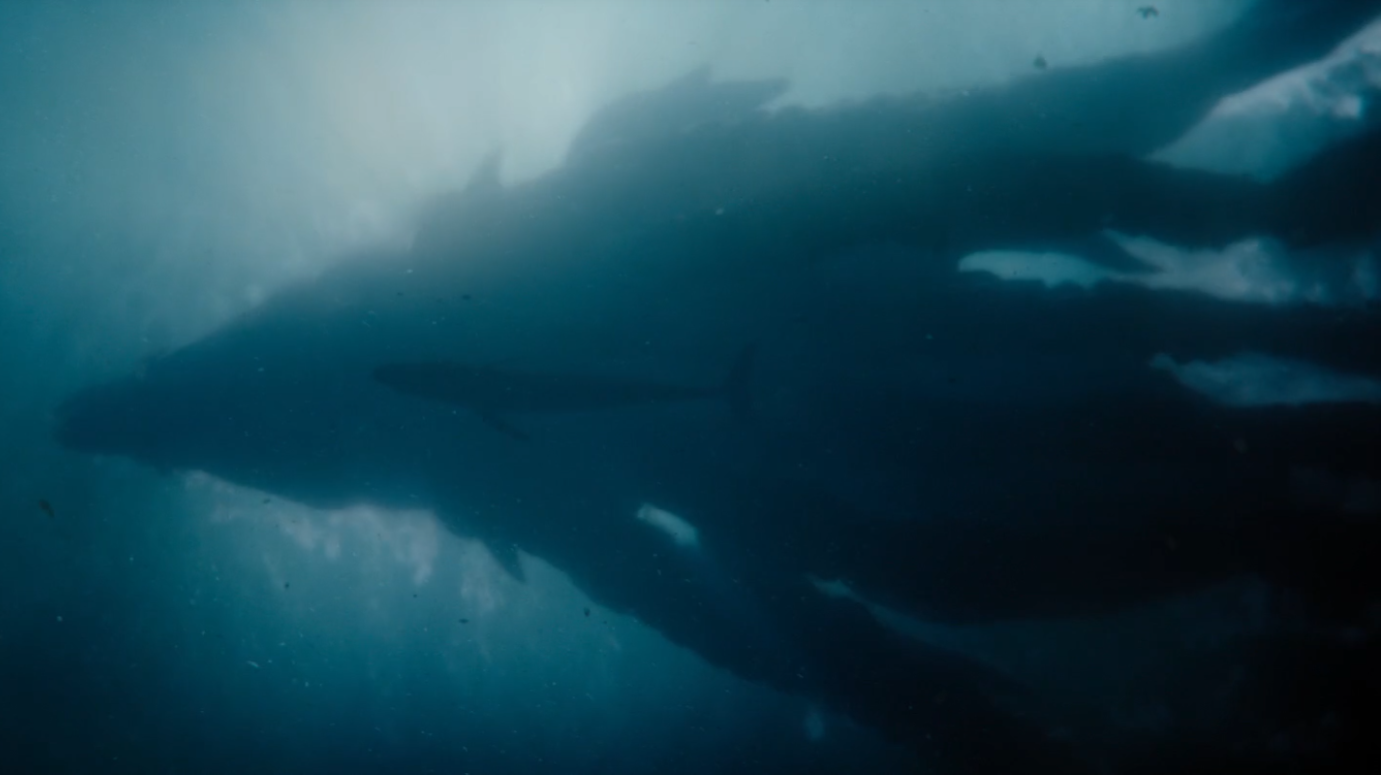 Monarch: Legacy of Monsters season 2 trailer introduces the debut of ...