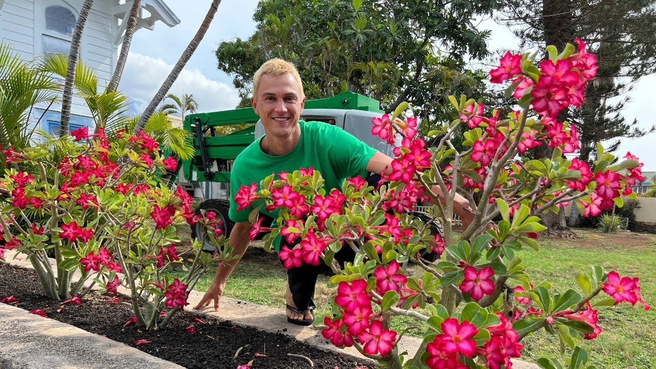 Tour of plants & mother nature - Maui, Hawaii - tropical, rare plant ...