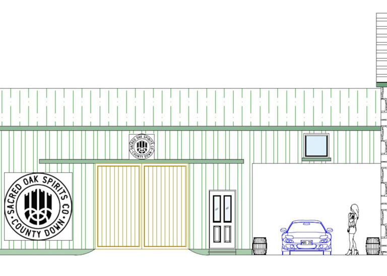 Co Down artist who painted King Charles among backers behind bid for ...