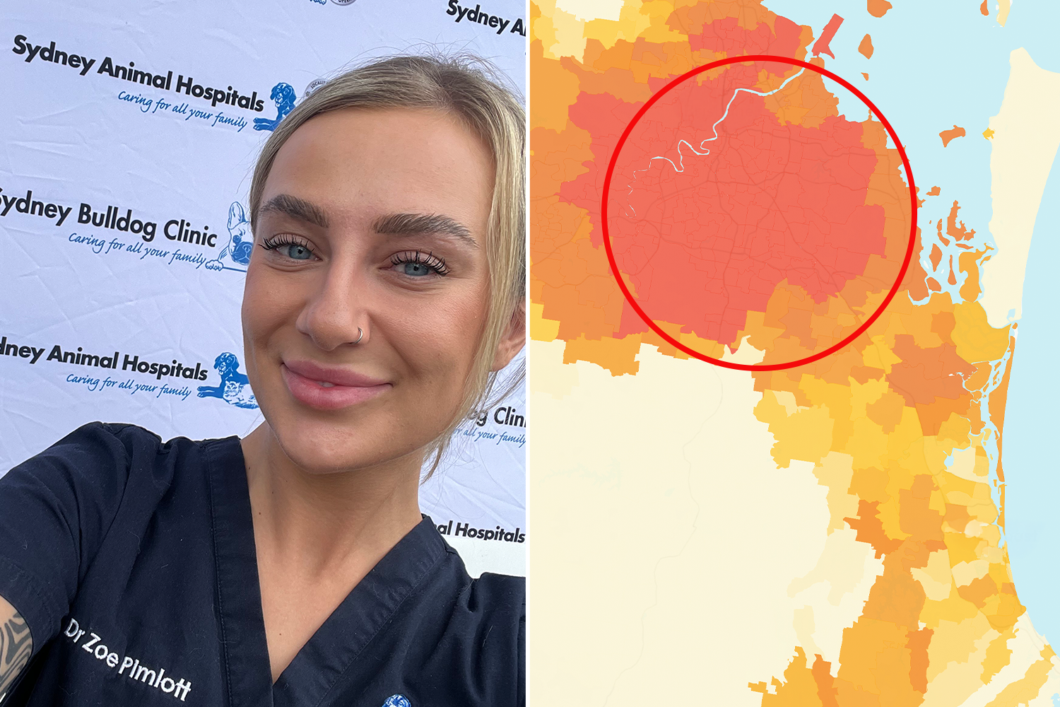 Millions urged to stay alert as tiny but deadly pest threatens pets in ...