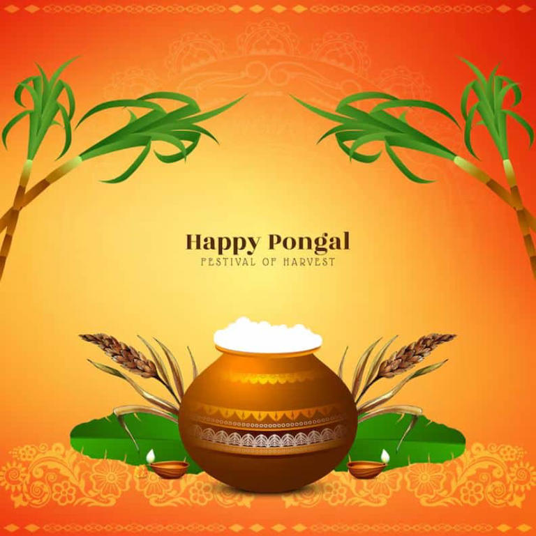 Happy Pongal 2026: 100+ best wishes, quotes, messages, and images to ...