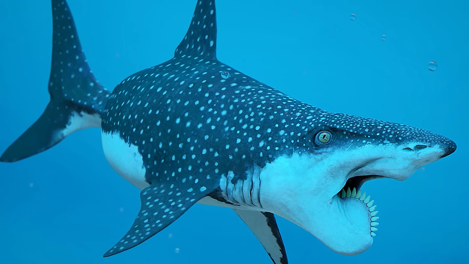 A deep dive into the rise and fall of prehistoric sharks