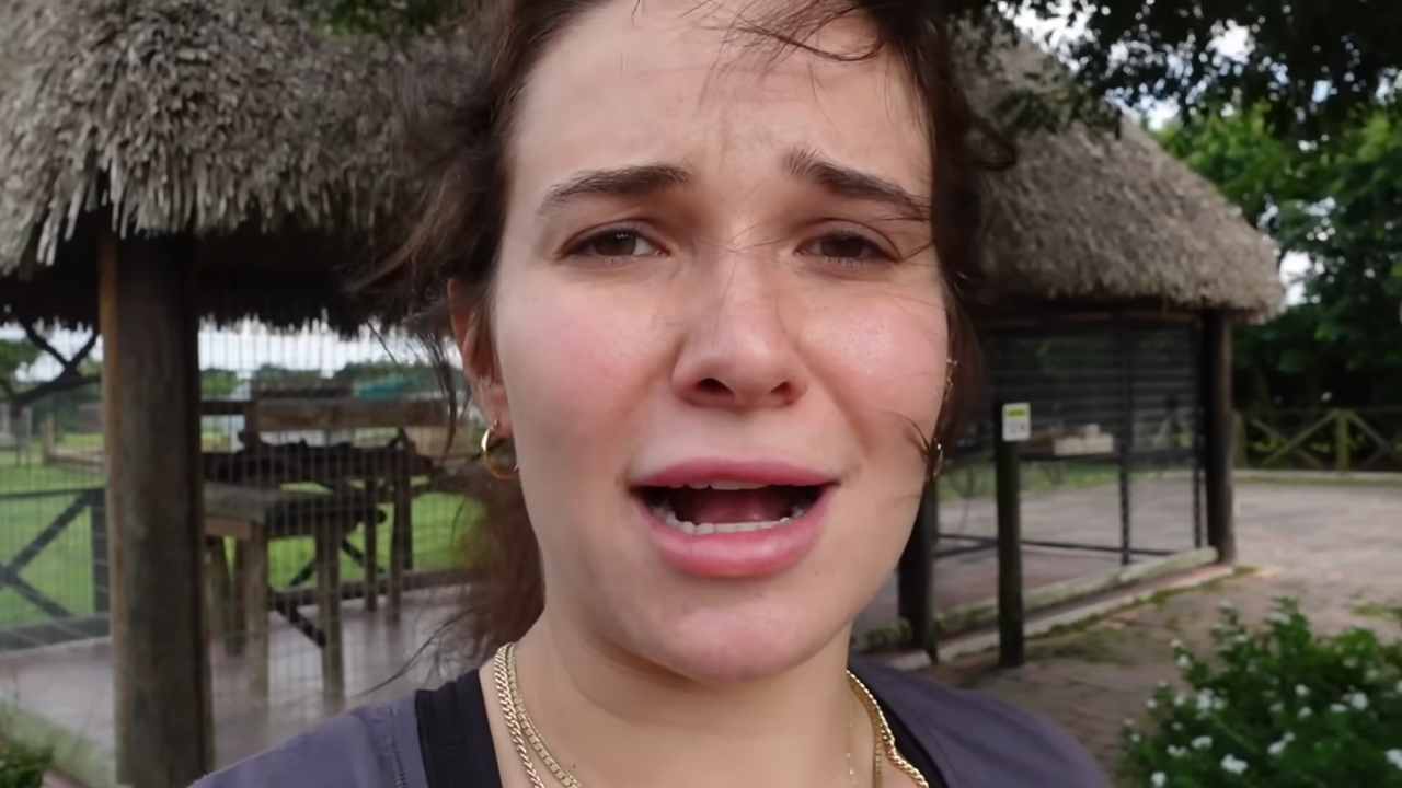 What happened when a storm buried a nest of tiny tortoise eggs