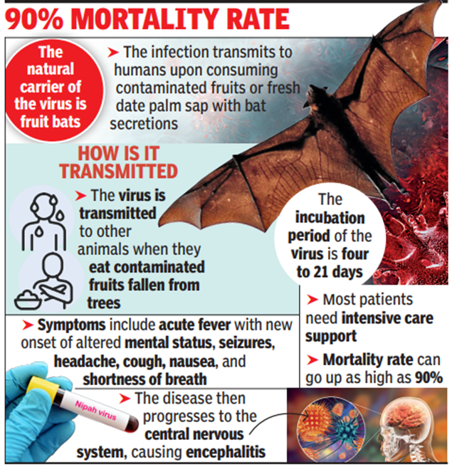 Explained: How Nipah spreads, why it rarely becomes a pandemic, and why ...