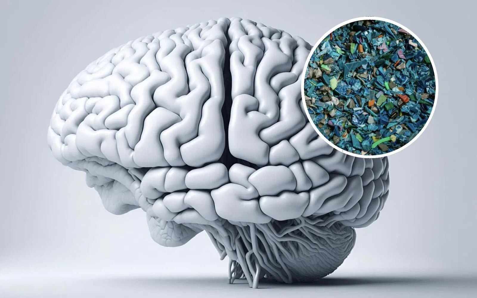 Scientists dispute microplastics' presence in human body