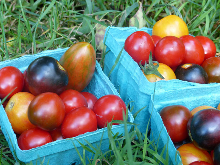8 benefits of heirloom produce