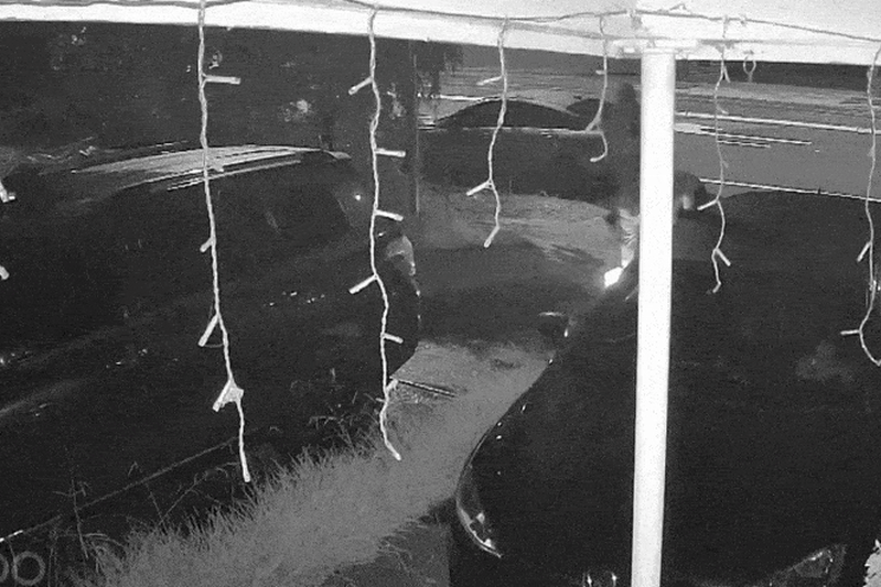 'Ready 2 chalk out every Alameddine': Cartel threatens to wipe out ...