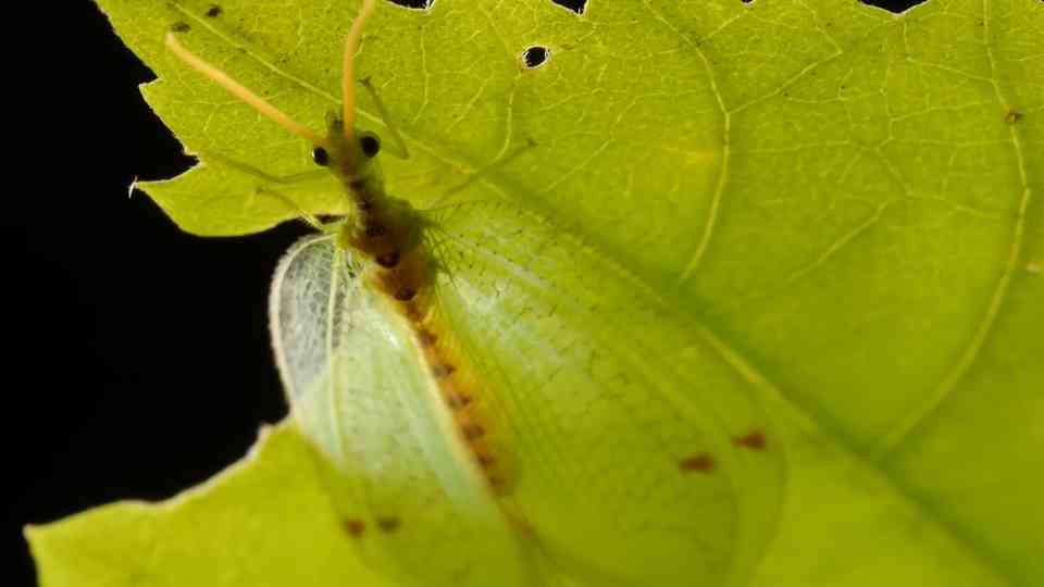 How gear choices decide success in hostile environments