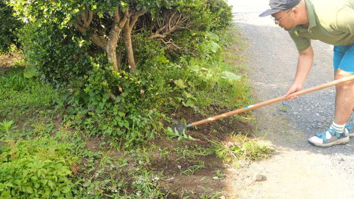 圧倒的に“草”! 2025年 GoodsPress Web人気記事ランキングTOP10