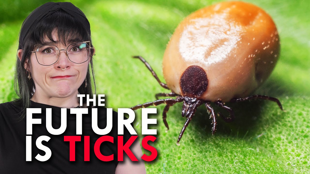 When climate change becomes an evolutionary advantage