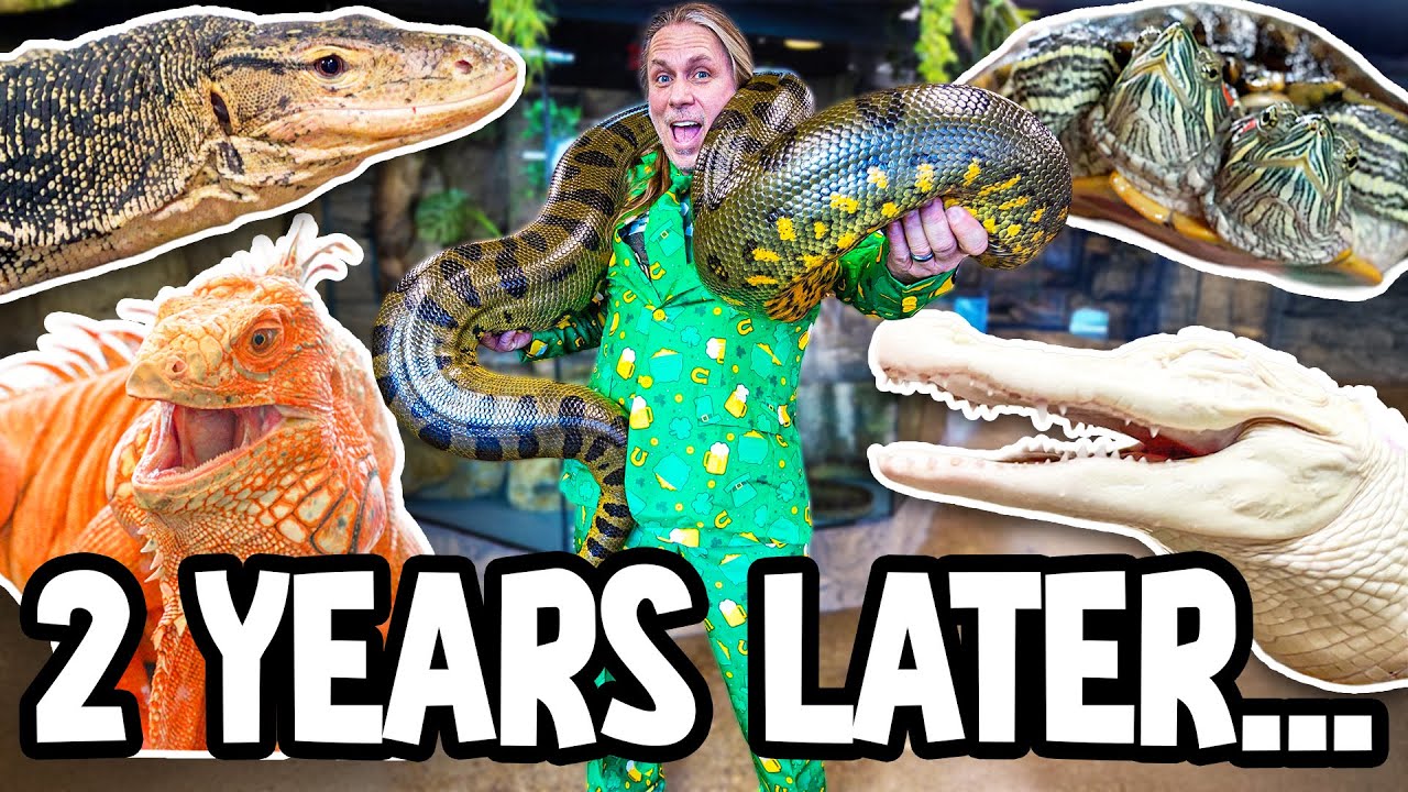 Where Brian Barczyk’s favorite pets are now