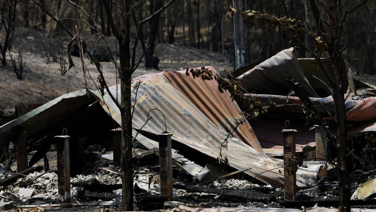 Bushfire losses mount as premier defends fleeing mob