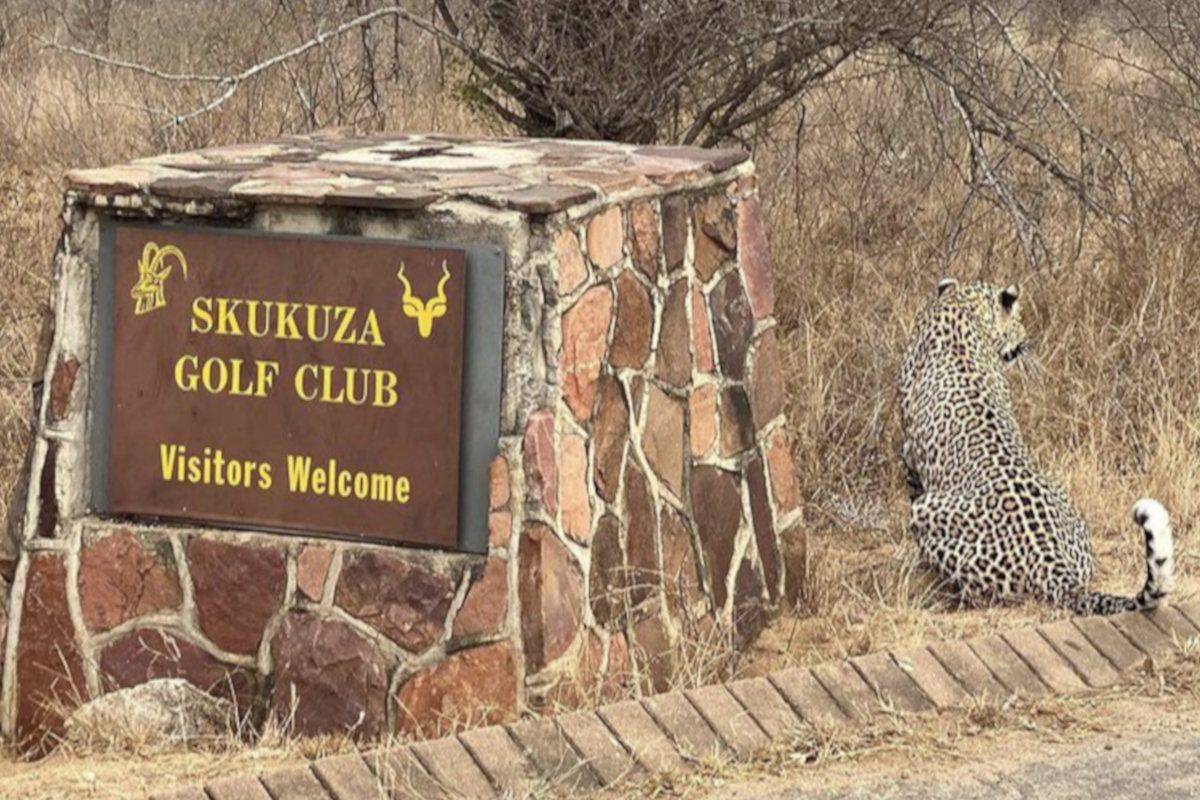 Skukuza Golf Club gives update after heavy rain – watch