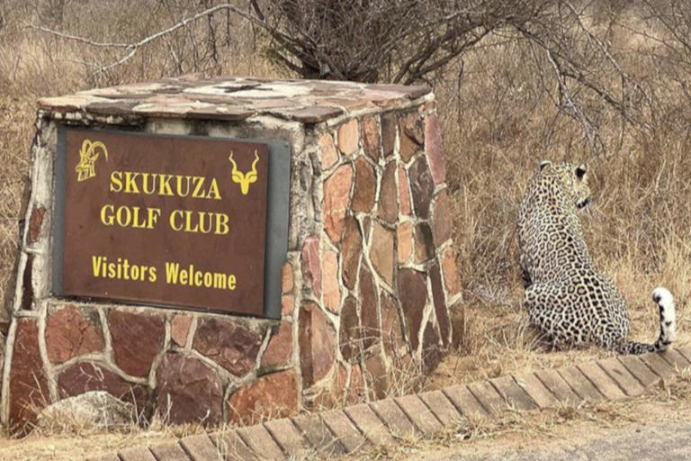 Skukuza Golf Club closed after heavy rain lashes Kruger Park