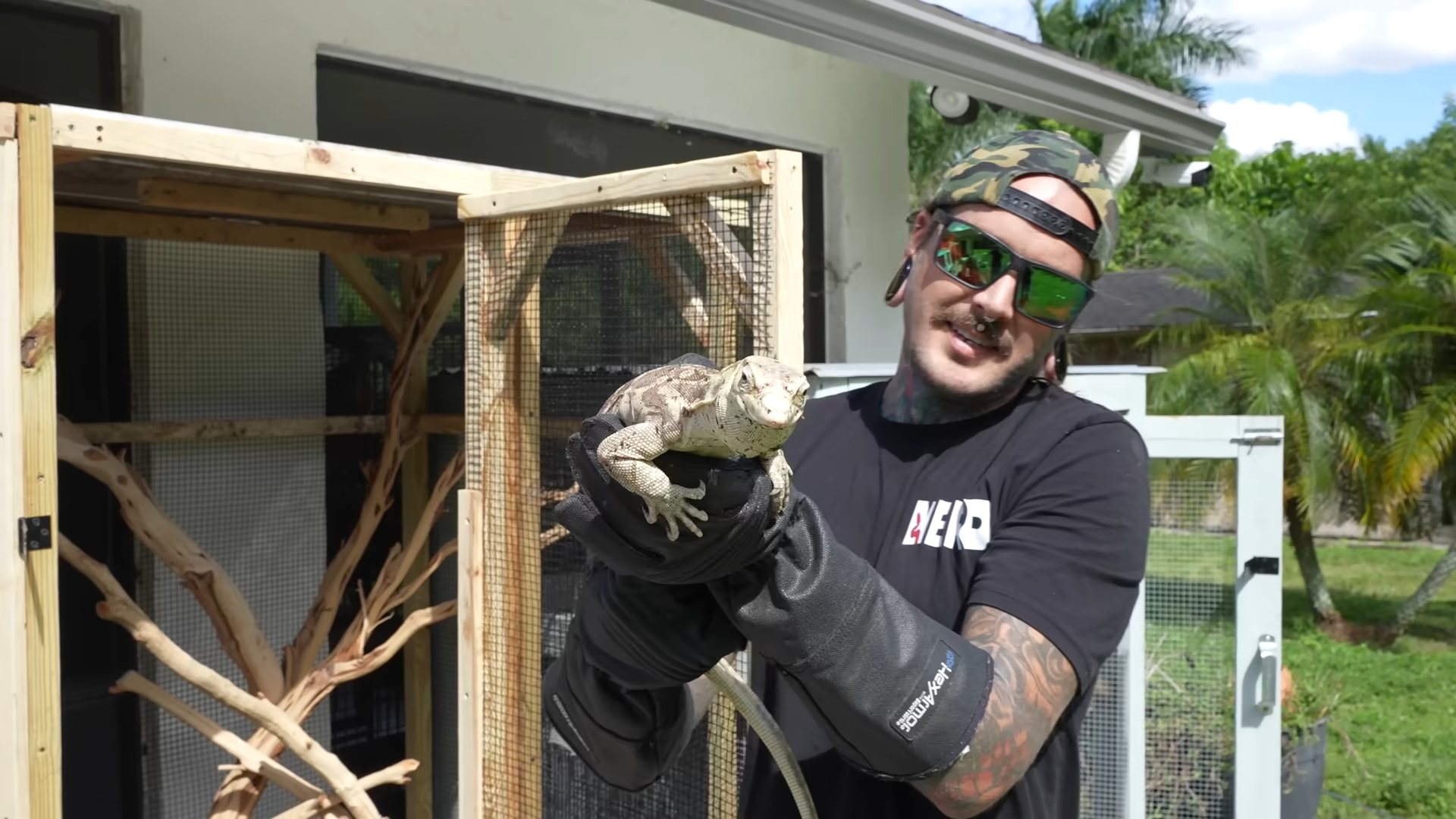 Why housing an albino water monitor demands serious planning