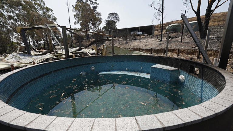 Bushfire losses mount as premier defends fleeing mob