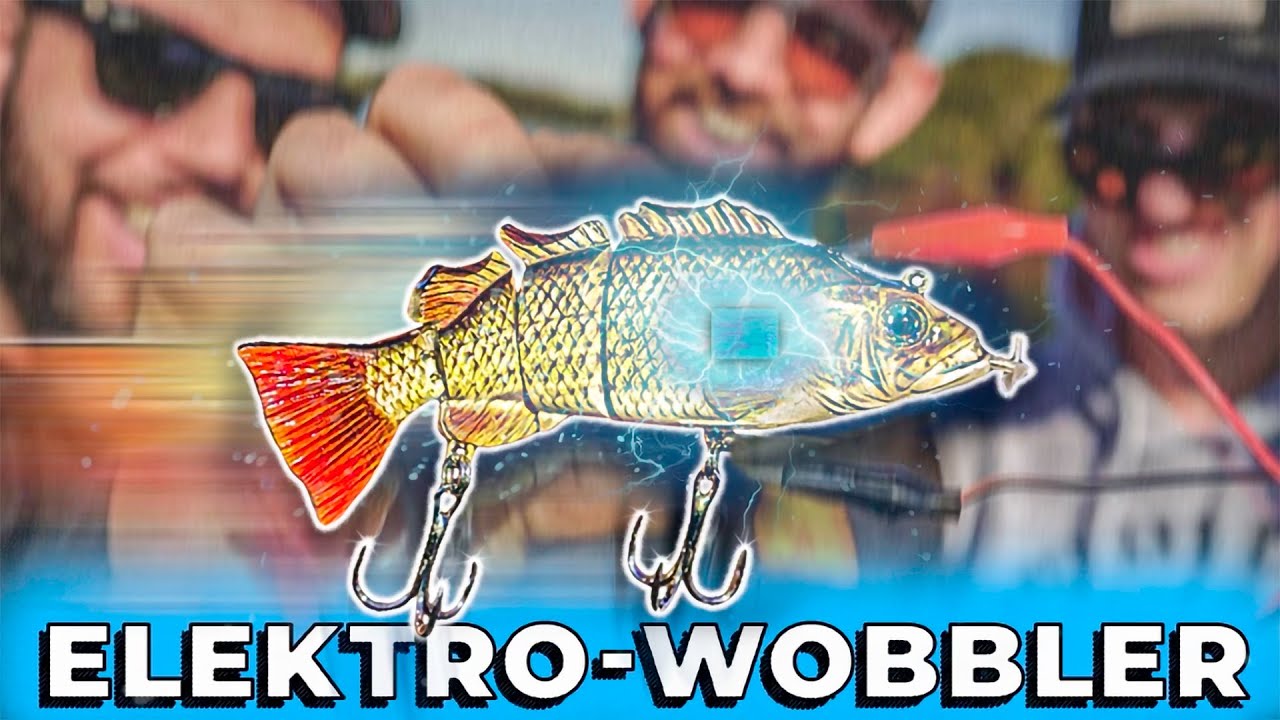 Hecht auf Elektro Wobbler!
