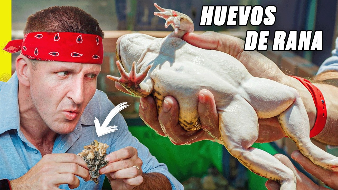 Por qué la carne de rana sigue siendo clave en partes de Asia