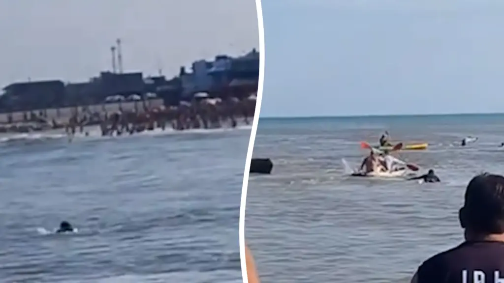 Beachgoers rescued after powerful 'meteotsunami' drags swimmers out to sea