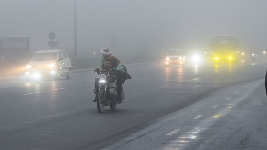 When can Delhi expect some relief from biting cold? Here’s what IMD’s ...