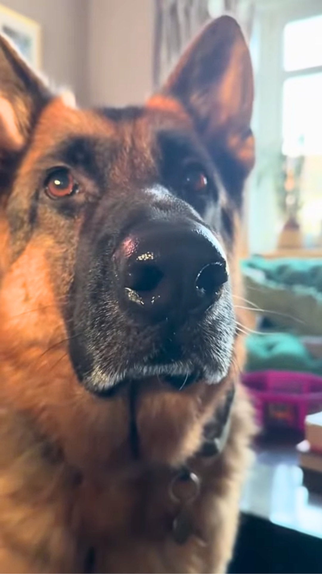 Find someone who looks at you like this