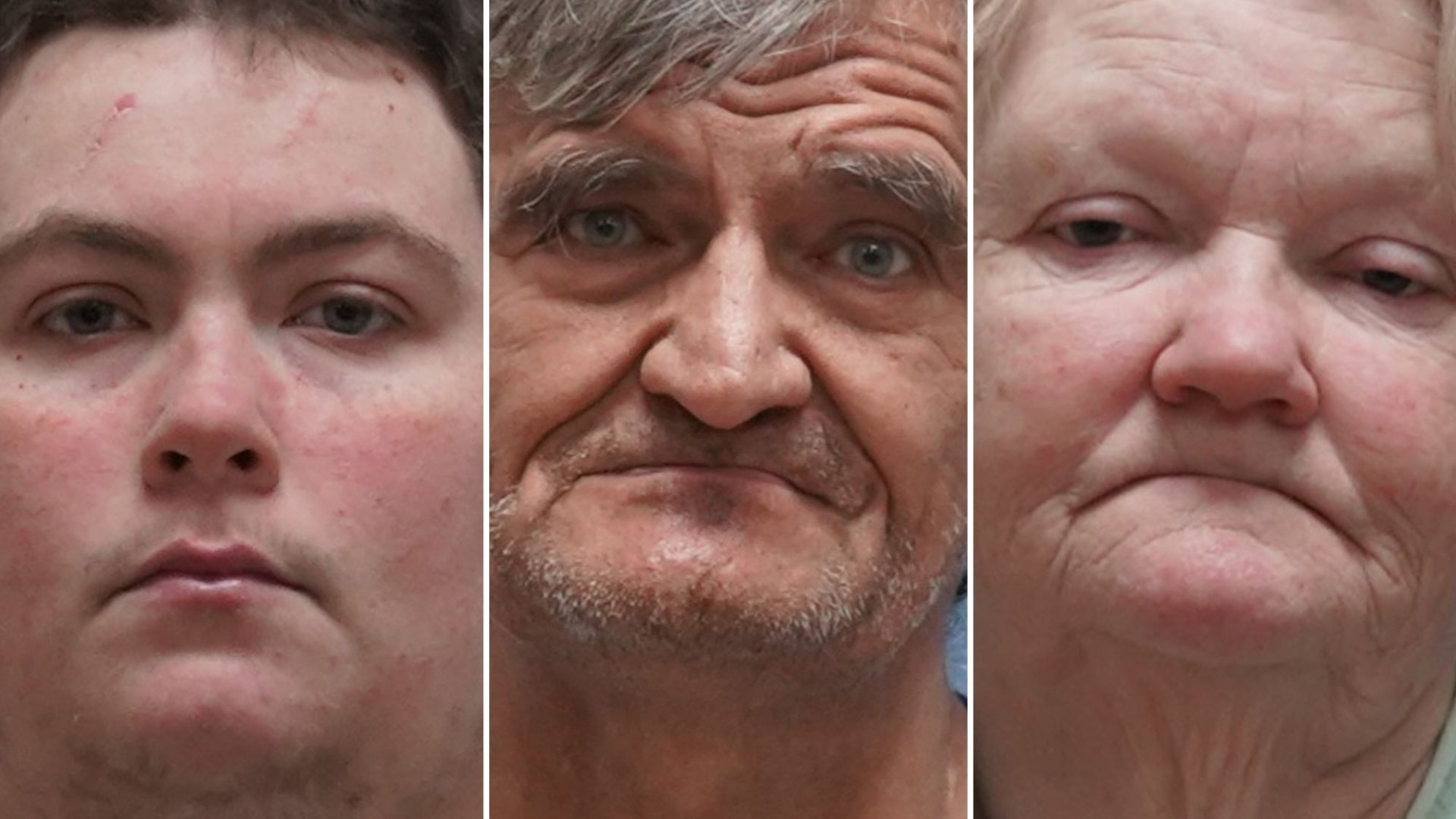 Over 2 dozen dogs found dead in backyard pile at Alabama home: Sheriff