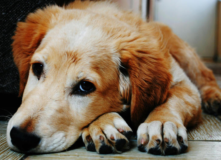 16 fois où la gentillesse s’est révélée être l’acte de courage ultime