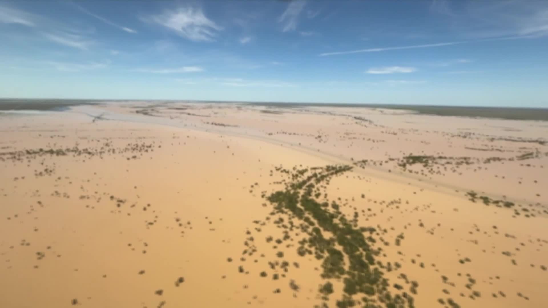 Survey shows parents cutting back on activities and digital devices