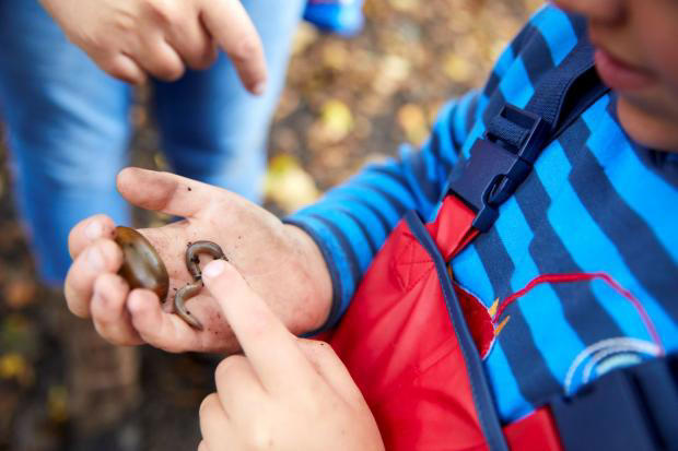 Soil at Sizergh: New trail near Kendal celebrates life beneath our feet