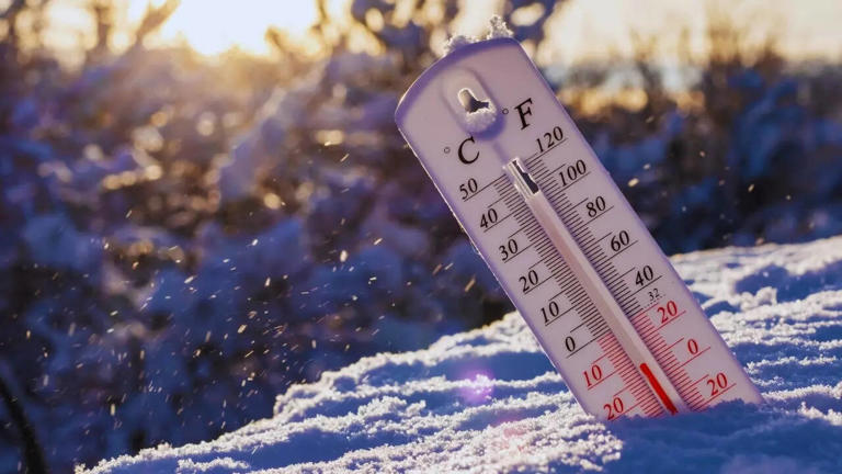 What's the weather today: IMD forecasts prolonged cold wave and dense ...