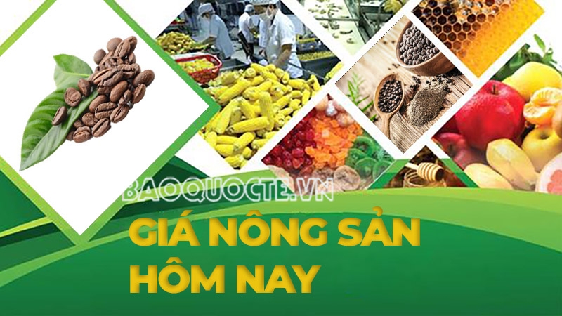 Giá nông sản hôm nay 14/1/2026: Giá cà phê trong nước "đợi các tín hiệu ...