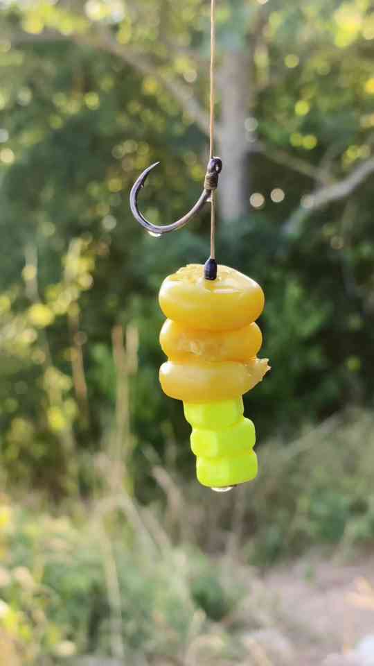 Best carp rig montage | Easy fishing setup for big carp