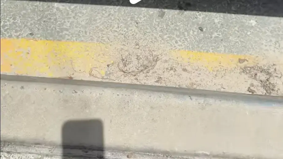 TikTok’s famous beach parking hack debunked