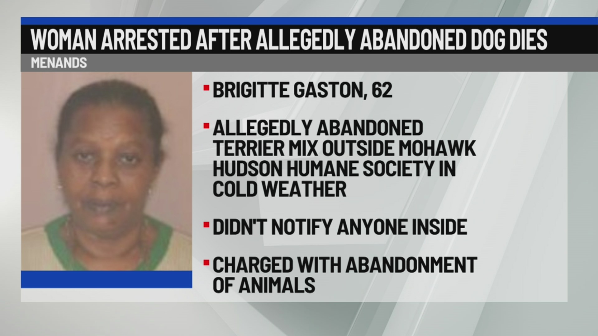 Albany woman arrested after allegedly abandoned dog dies