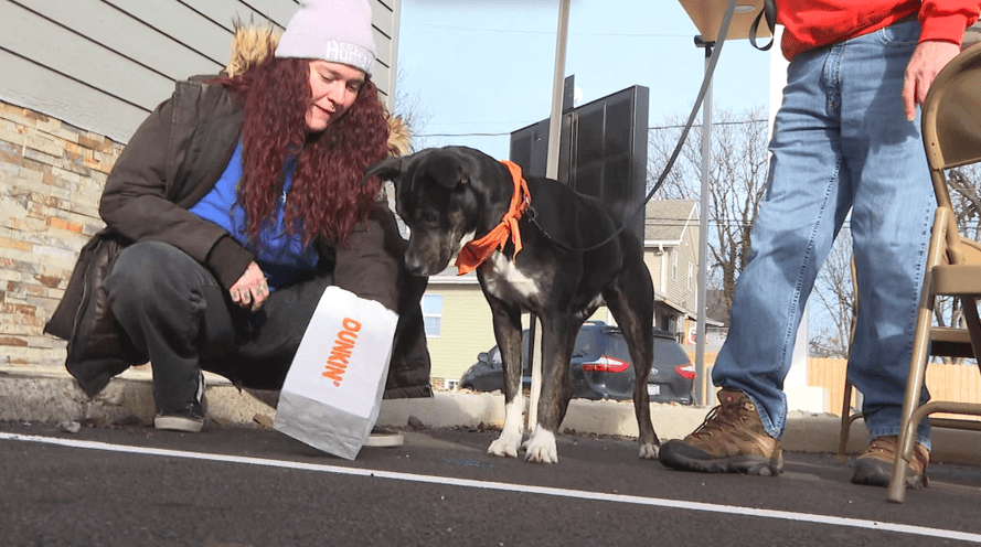 Dogs and donuts team up in Franklinton