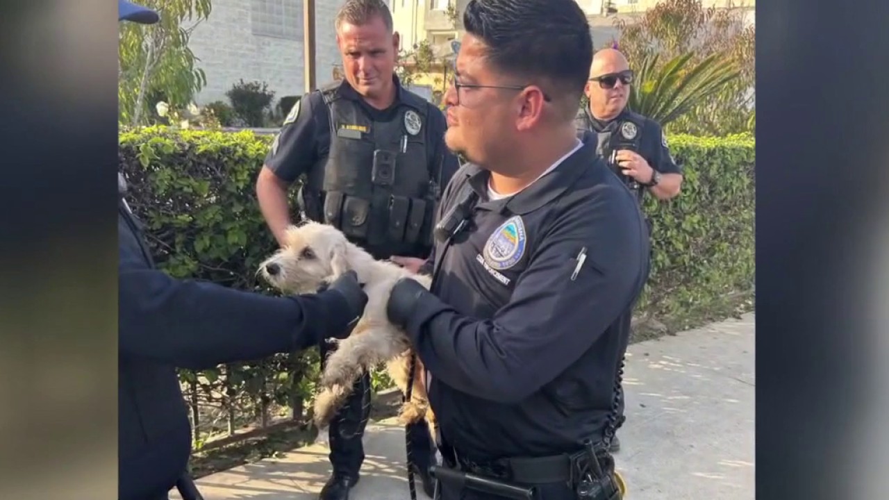 Kids save dog in trash compactor