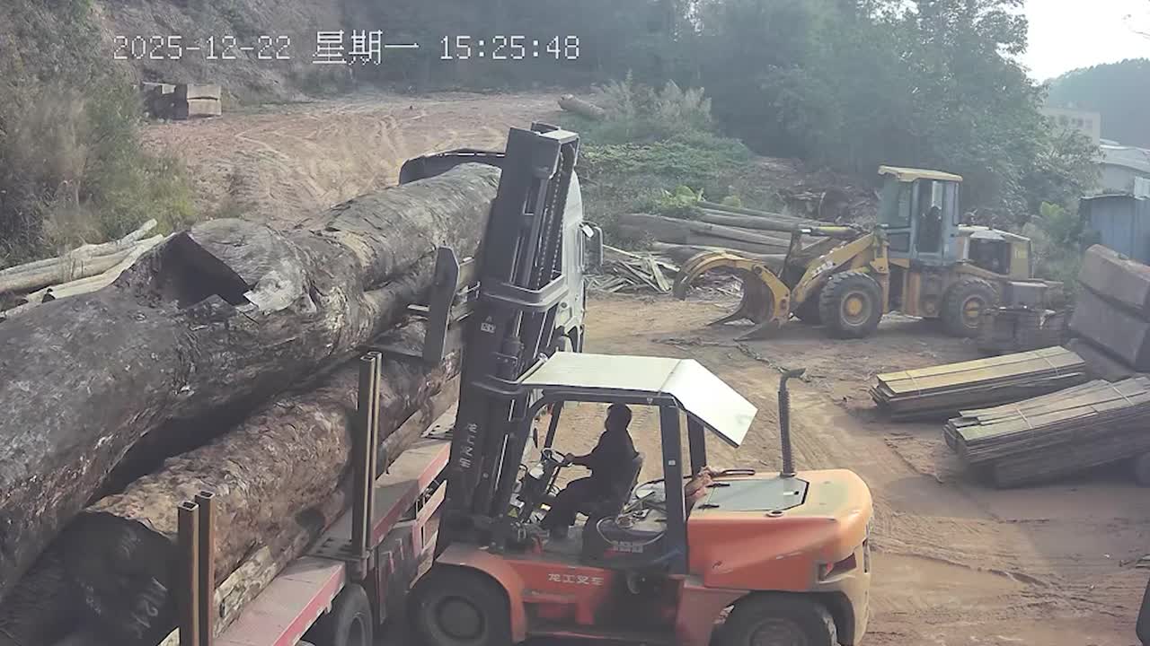 Huge tree trunk causes forklift truck to topple over
