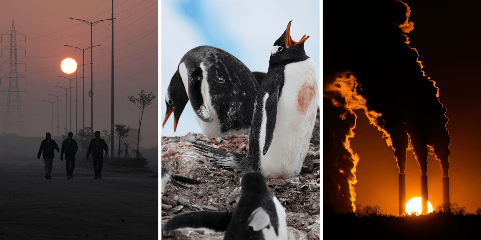 Tre extremvarma år i rad – över 1,5-gradersgränsen